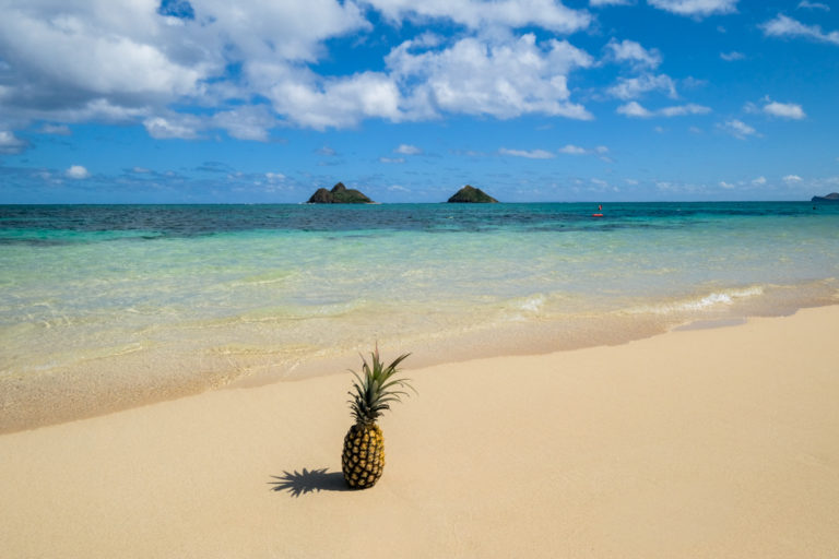 Stunning December Beach Vacations Pictures
